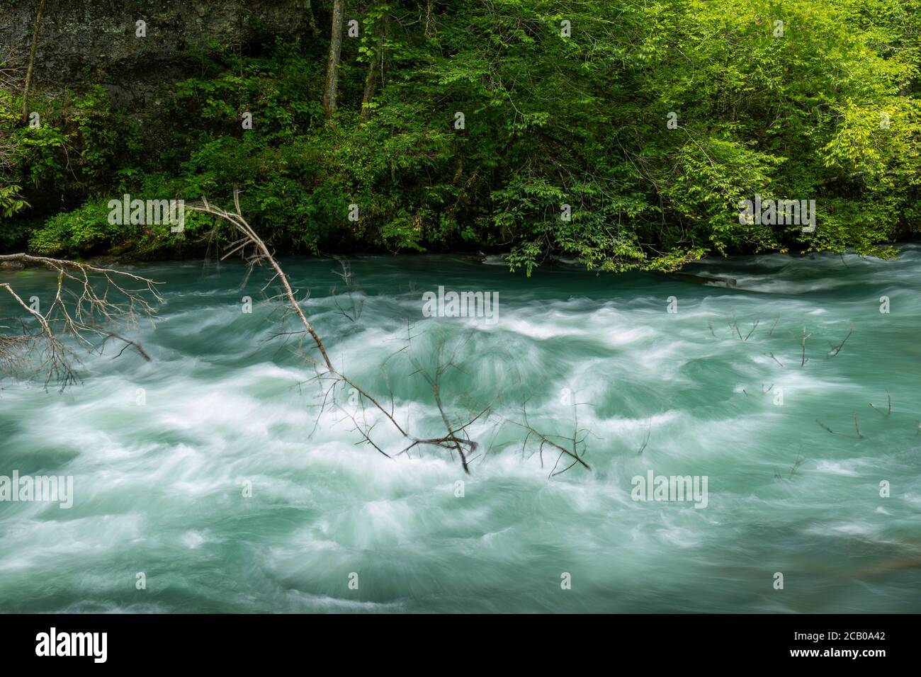 Greer Spring - A spring bursting up from below adding to the flow of a ...