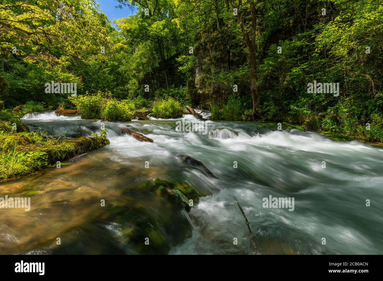 Branch and river hi-res stock photography and images - Alamy