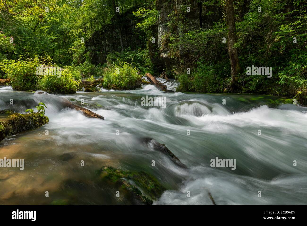 The branch river hi-res stock photography and images - Alamy