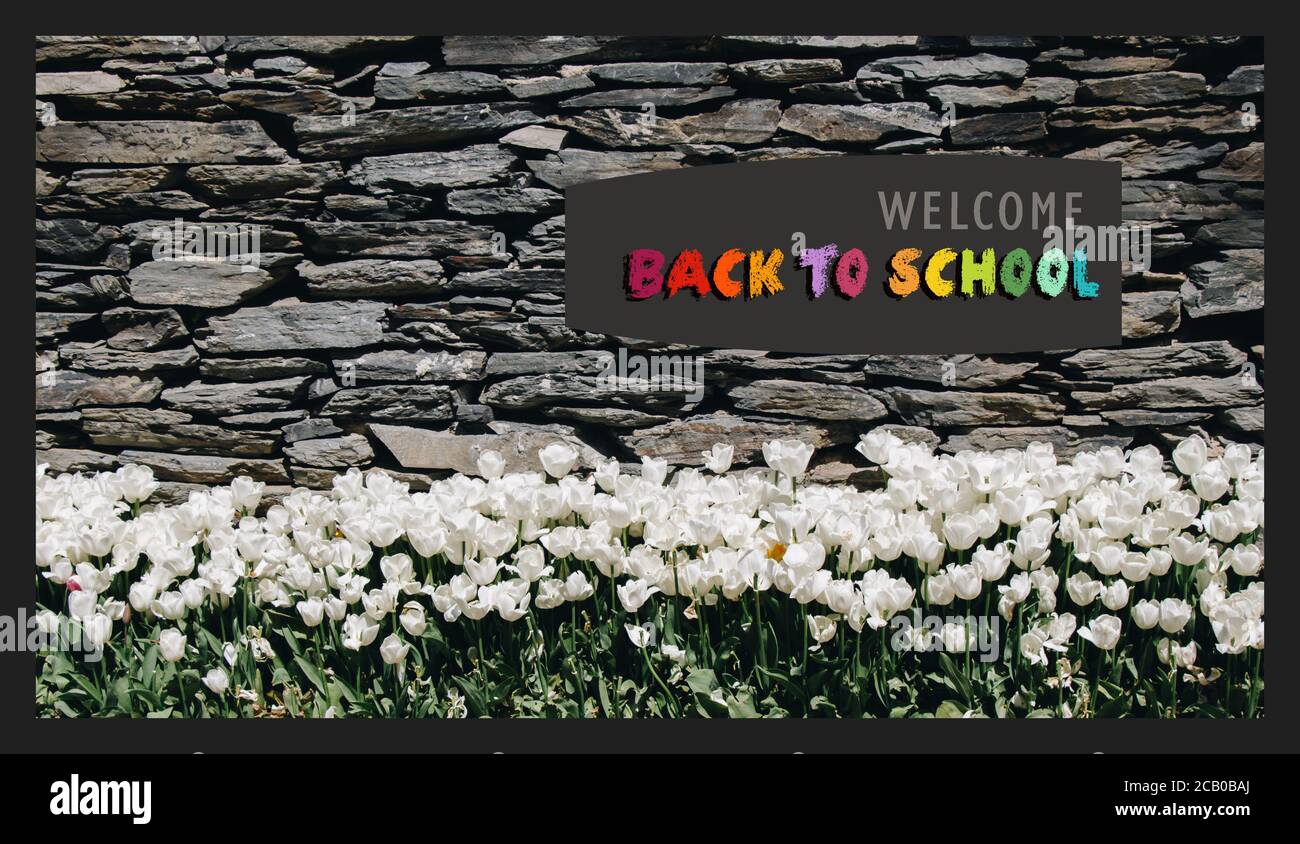 Back to school, education background for invitation, promotion poster ...