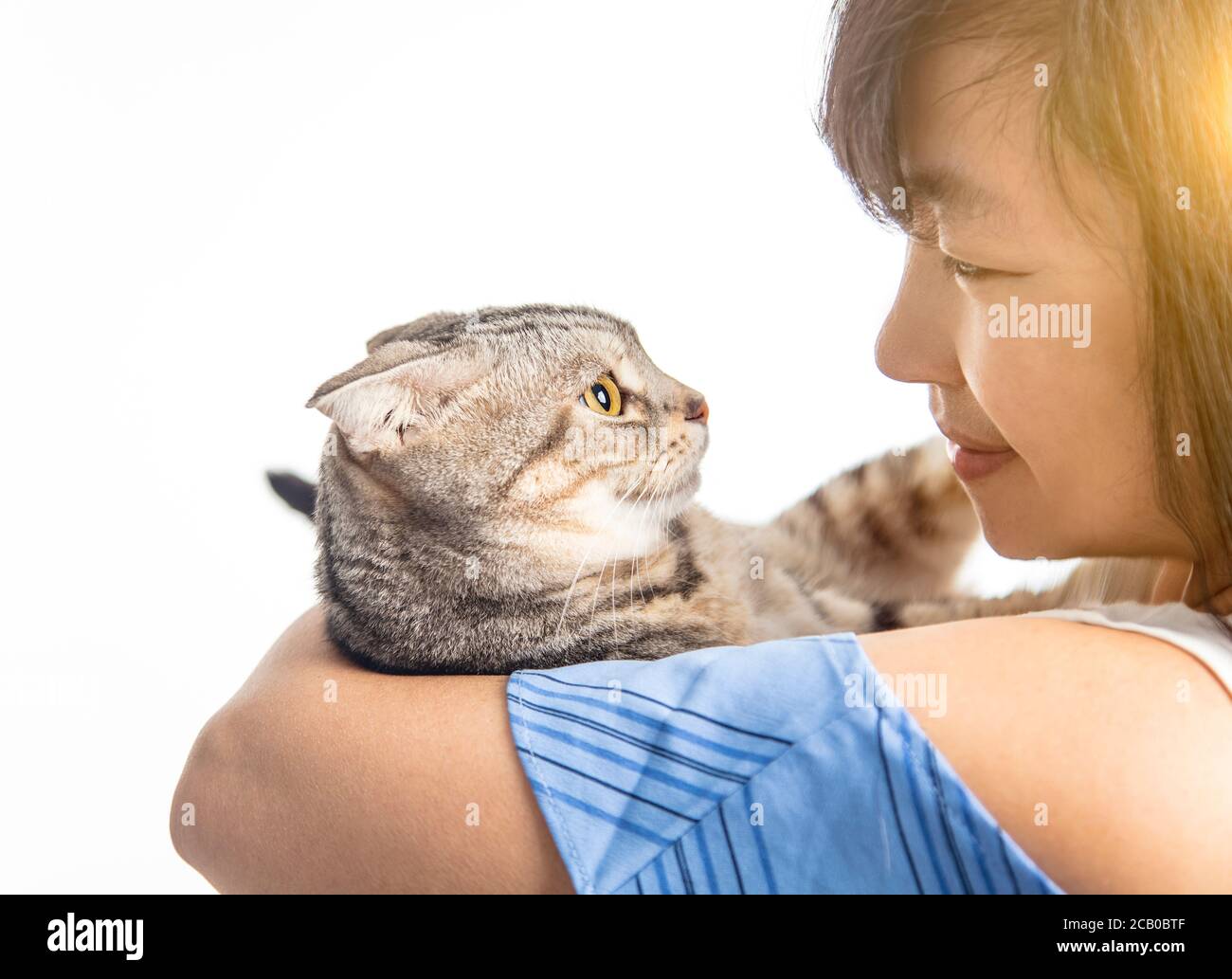 Person holding cat hi-res stock photography and images - Alamy