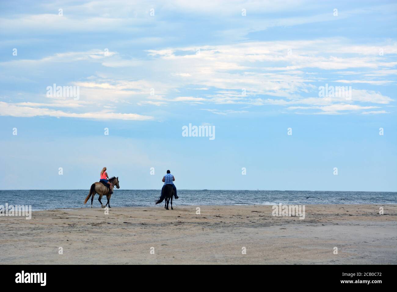 Outer banks horse hi-res stock photography and images - Alamy