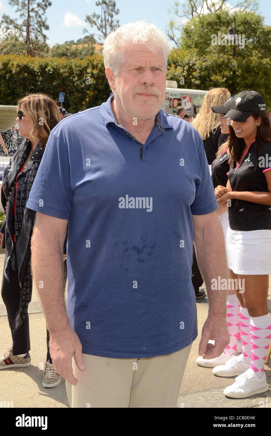 LOS ANGELES - MAY 6: Ron Perlman at the George Lopez Golf Tournament at ...