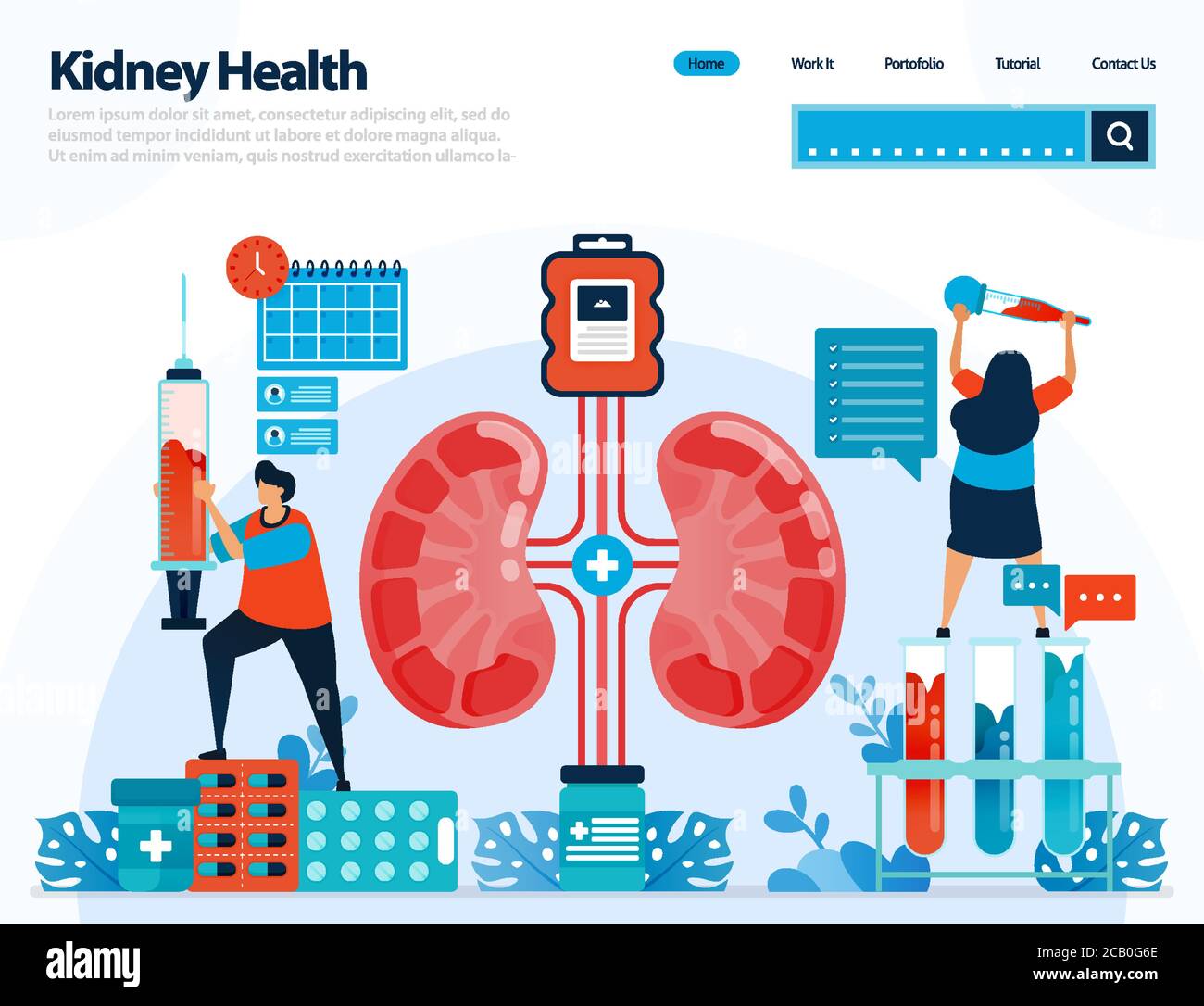 illustration for checking kidney health. diseases and disorders of ...