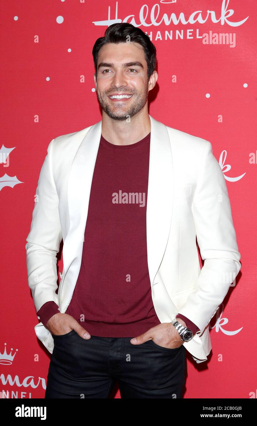 LOS ANGELES - NOV 20: Peter Porte at the Hallmark 10th Anniversary ...