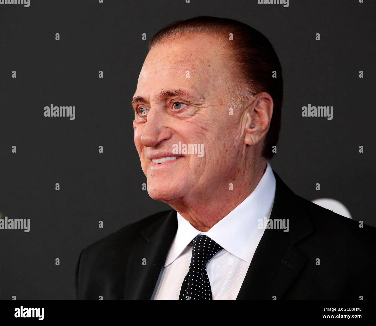 LOS ANGELES - NOV 3: Joe Cortese at the Hollywood Film Awards at the ...