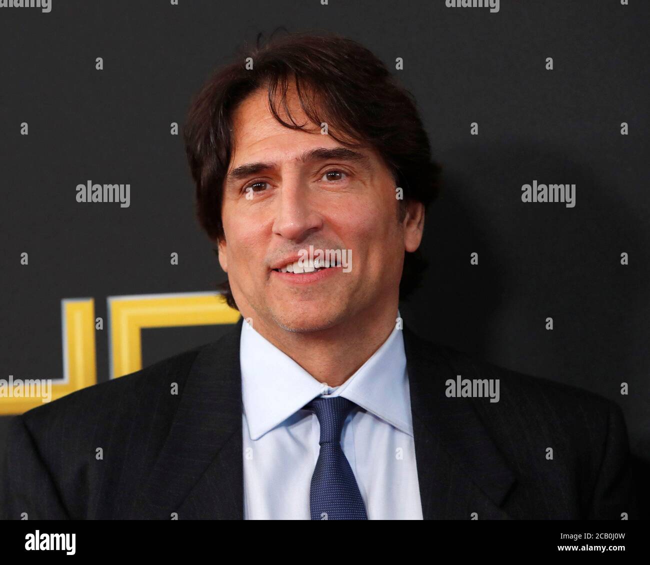 LOS ANGELES - NOV 3: Vincent Spano at the Hollywood Film Awards at the ...