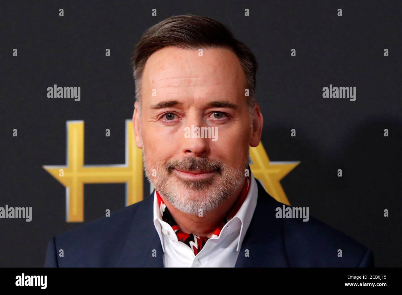 LOS ANGELES - NOV 3: David Furnish at the Hollywood Film Awards at the ...