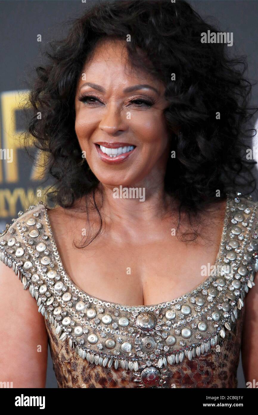 LOS ANGELES - NOV 3: Debra Martin Chase at the Hollywood Film Awards at ...