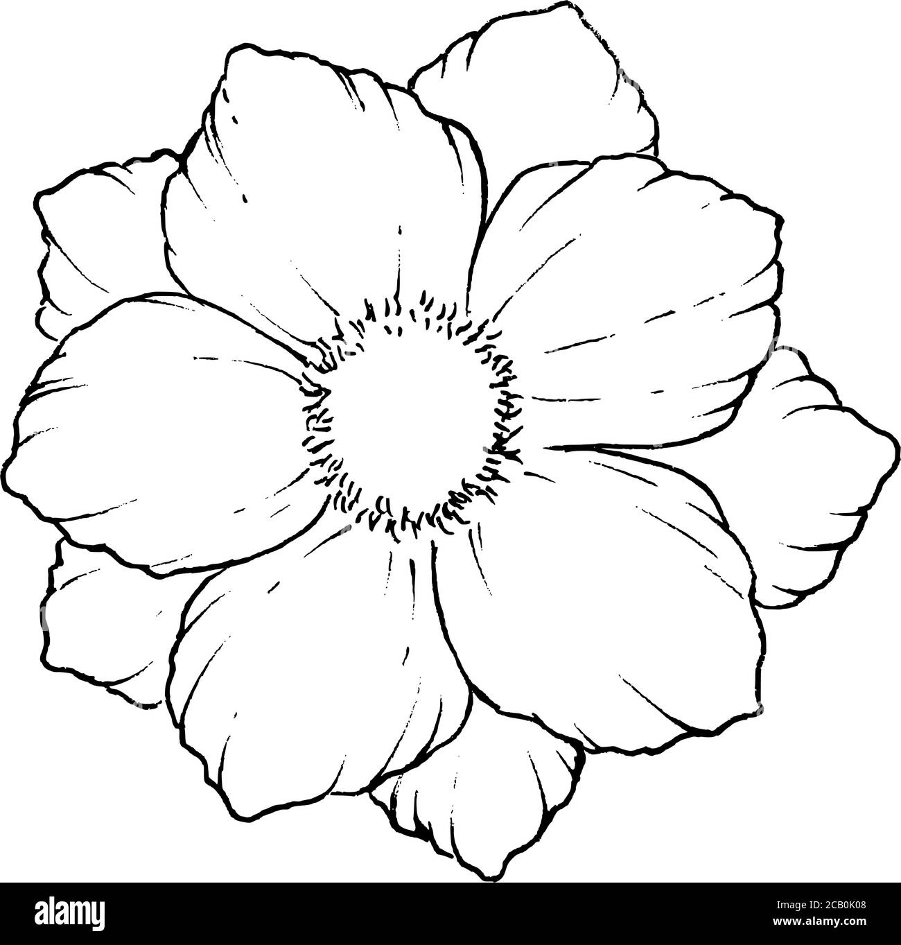 outline of flower on white background design for print, wallpaper, home ...