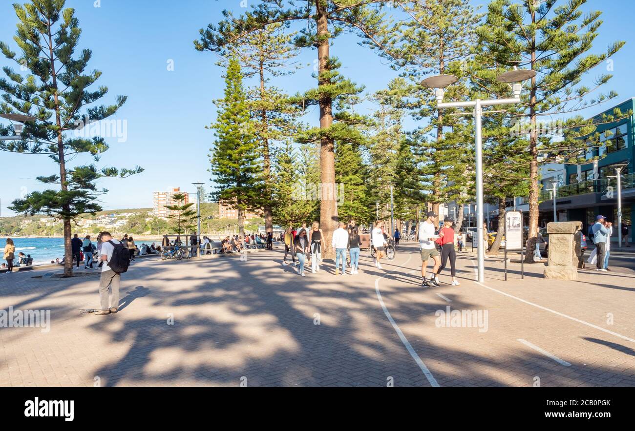 Sydney manly park walk hi-res stock photography and images - Alamy