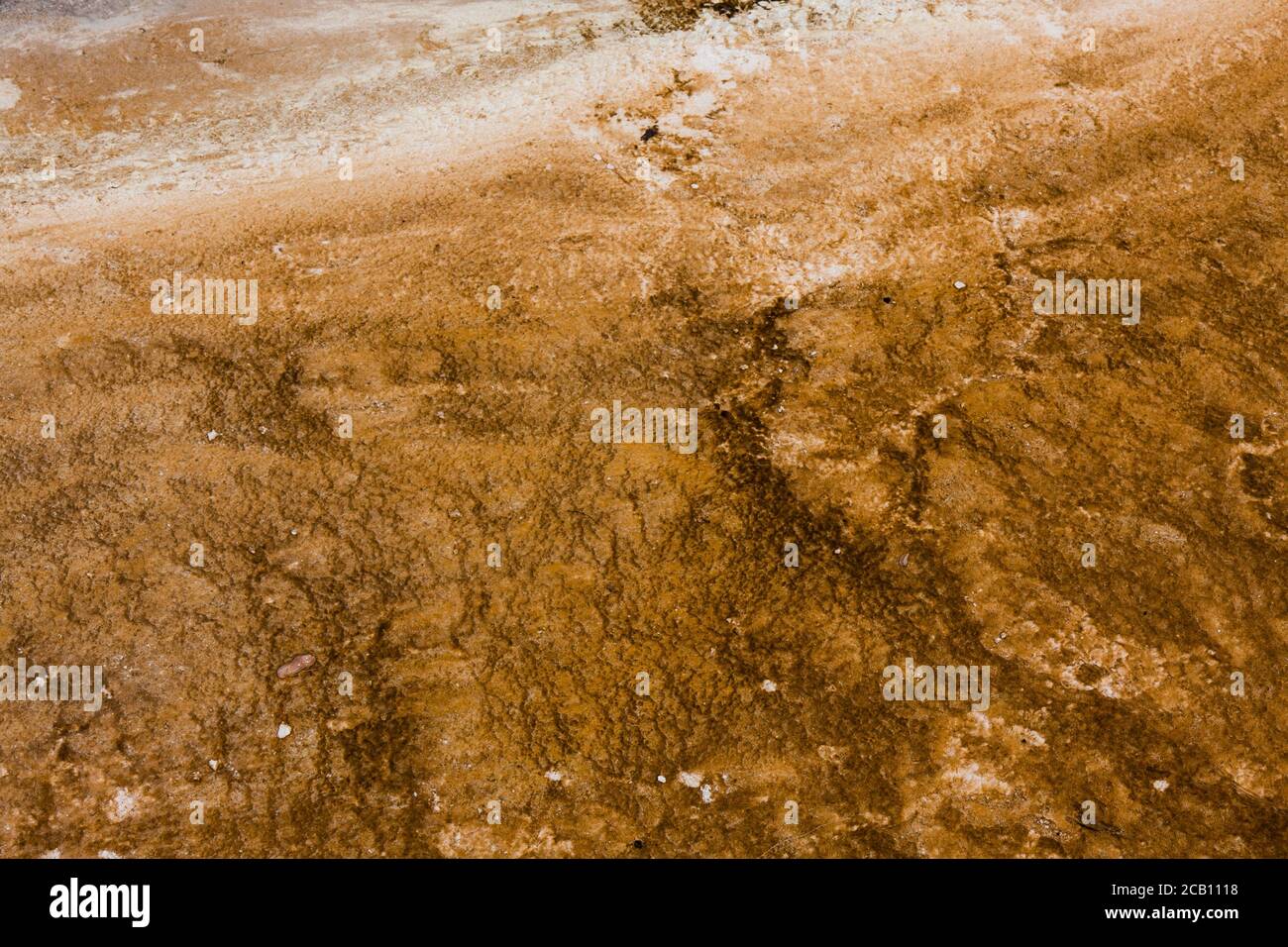 Textures from a microbial mat in a Yellowstone hot spring Stock Photo ...