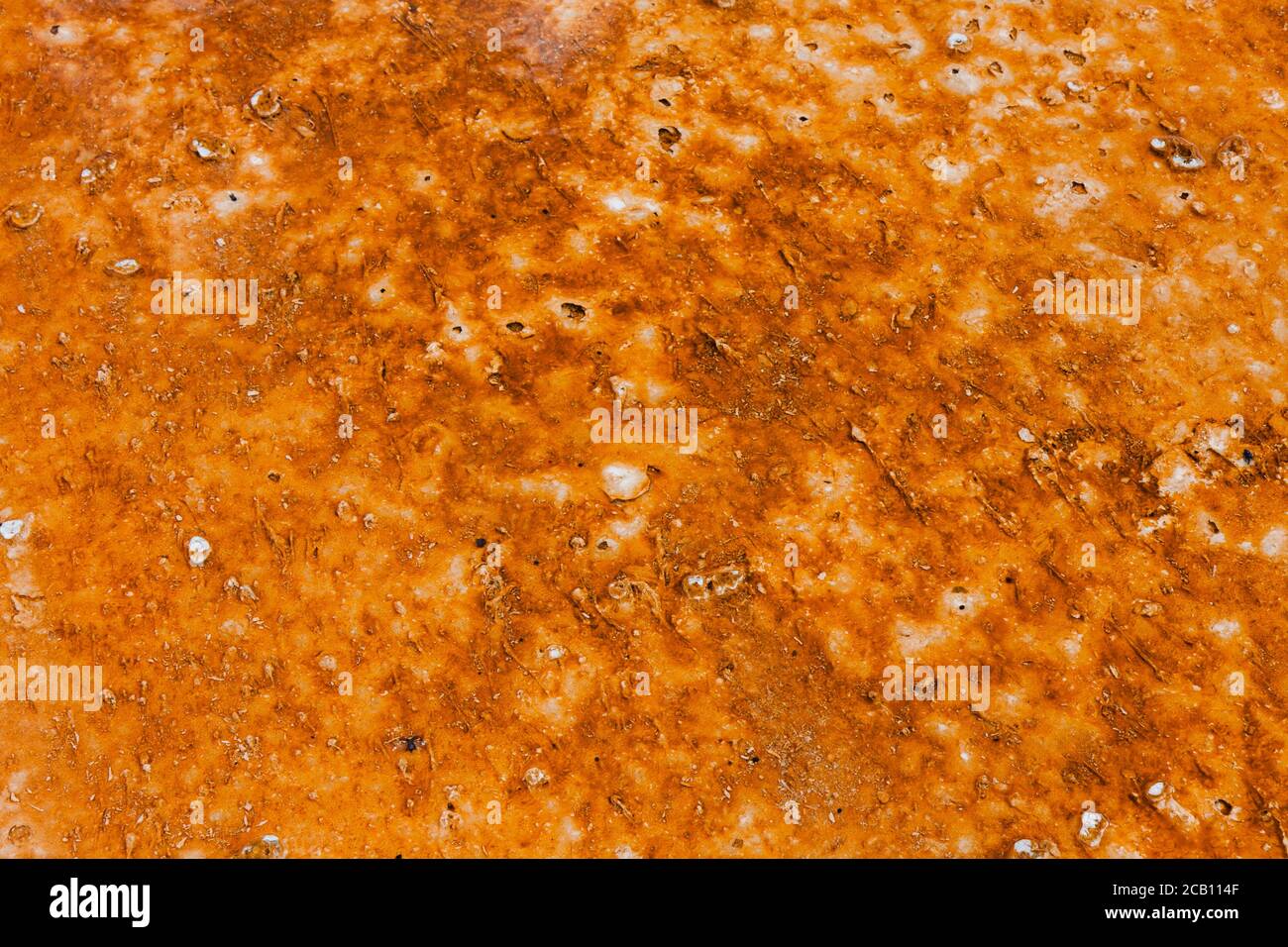 Textures from a microbial mat in a Yellowstone hot spring Stock Photo ...