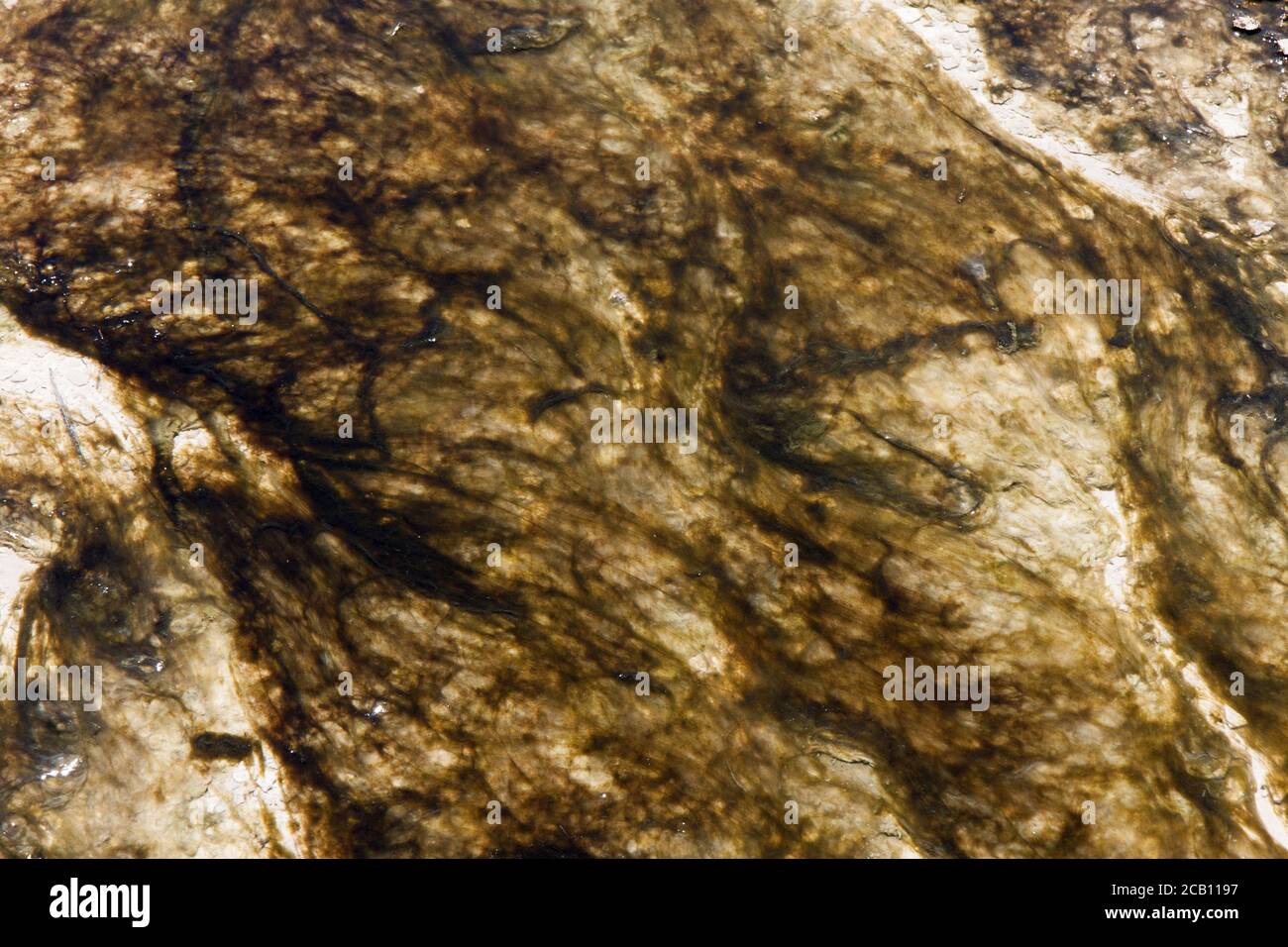 Abstract texture from Yellowstone National Park Stock Photo - Alamy