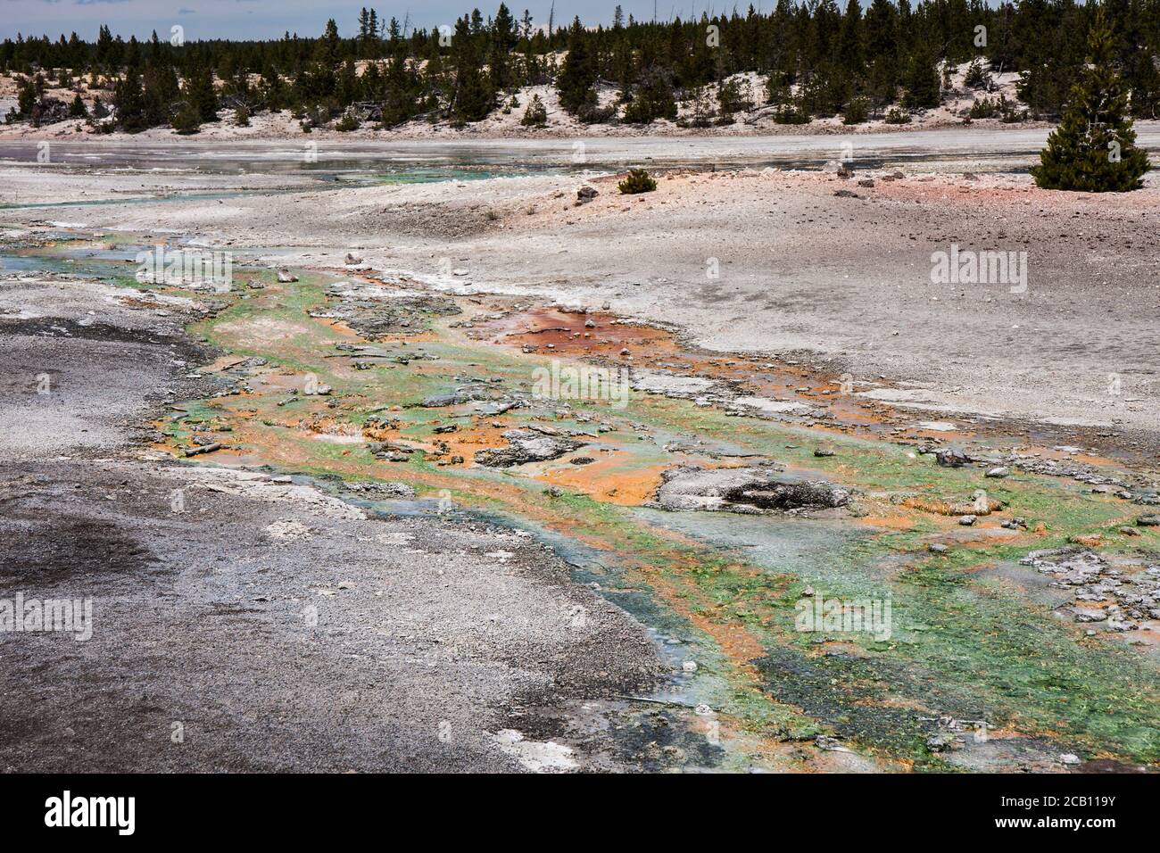 Hot spring in Yellowstone National Park Stock Photo - Alamy