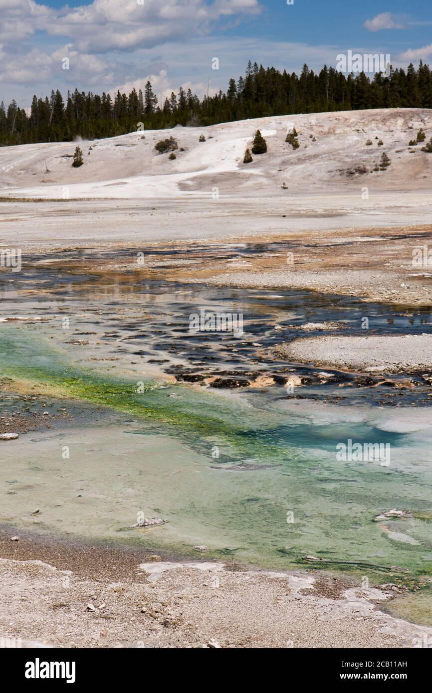 Hot spring in yellowstone hi-res stock photography and images - Alamy