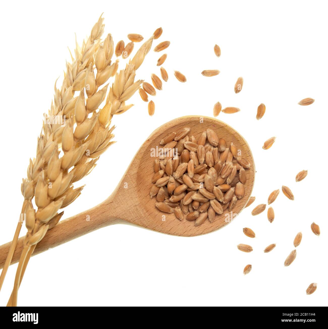 Wheat isolated on white background Stock Photo - Alamy