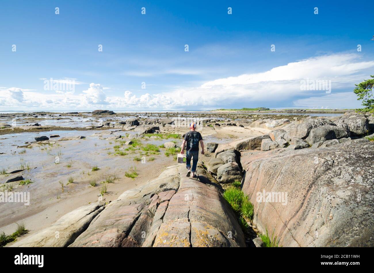 Stones and rocks. The harsh nature of the Arctic Stock Photo - Alamy