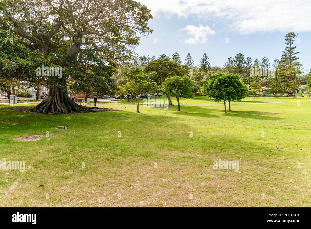 Robertson nsw hi-res stock photography and images - Alamy