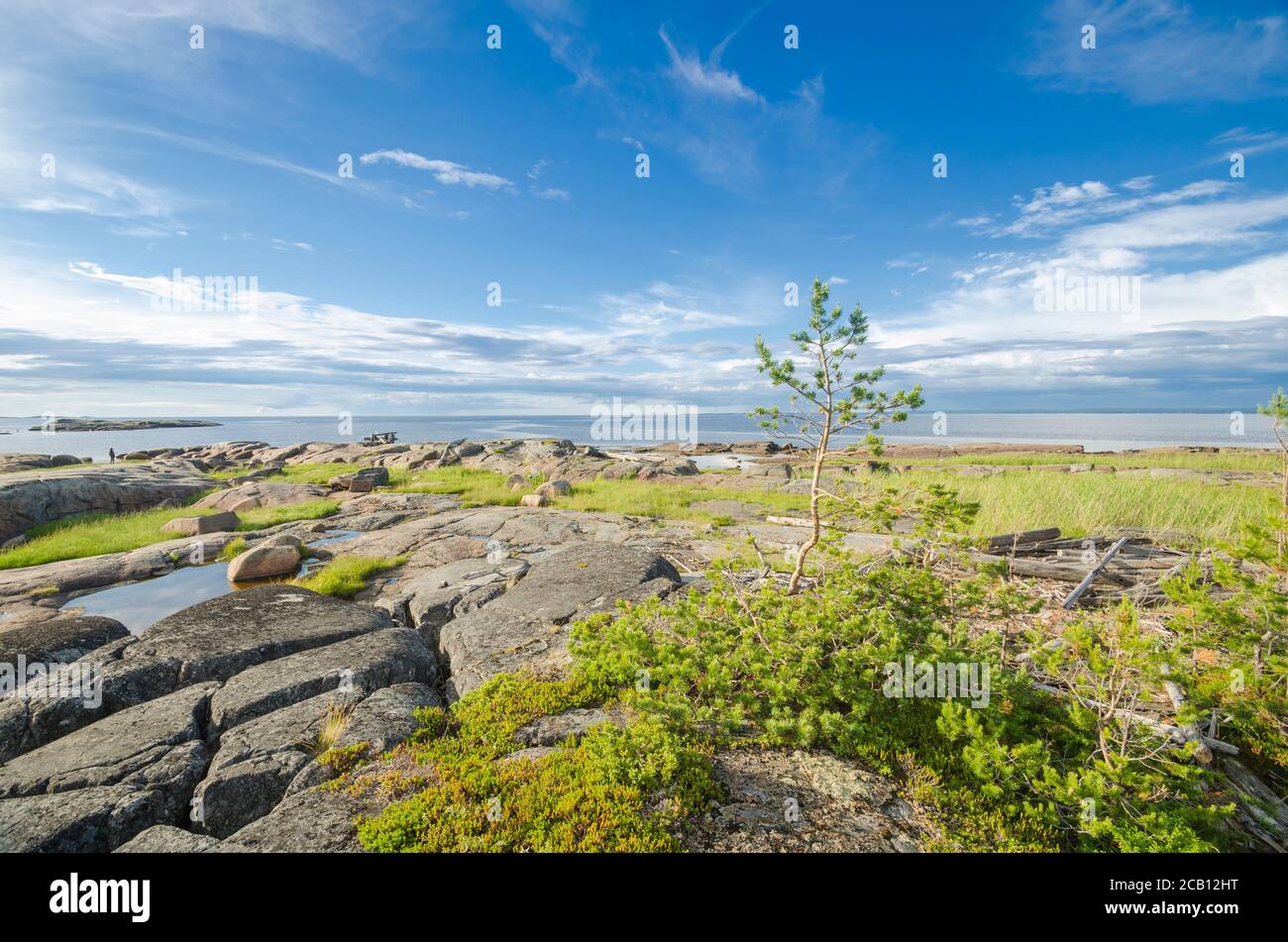 Stones and rocks. The harsh nature of the Arctic Stock Photo - Alamy