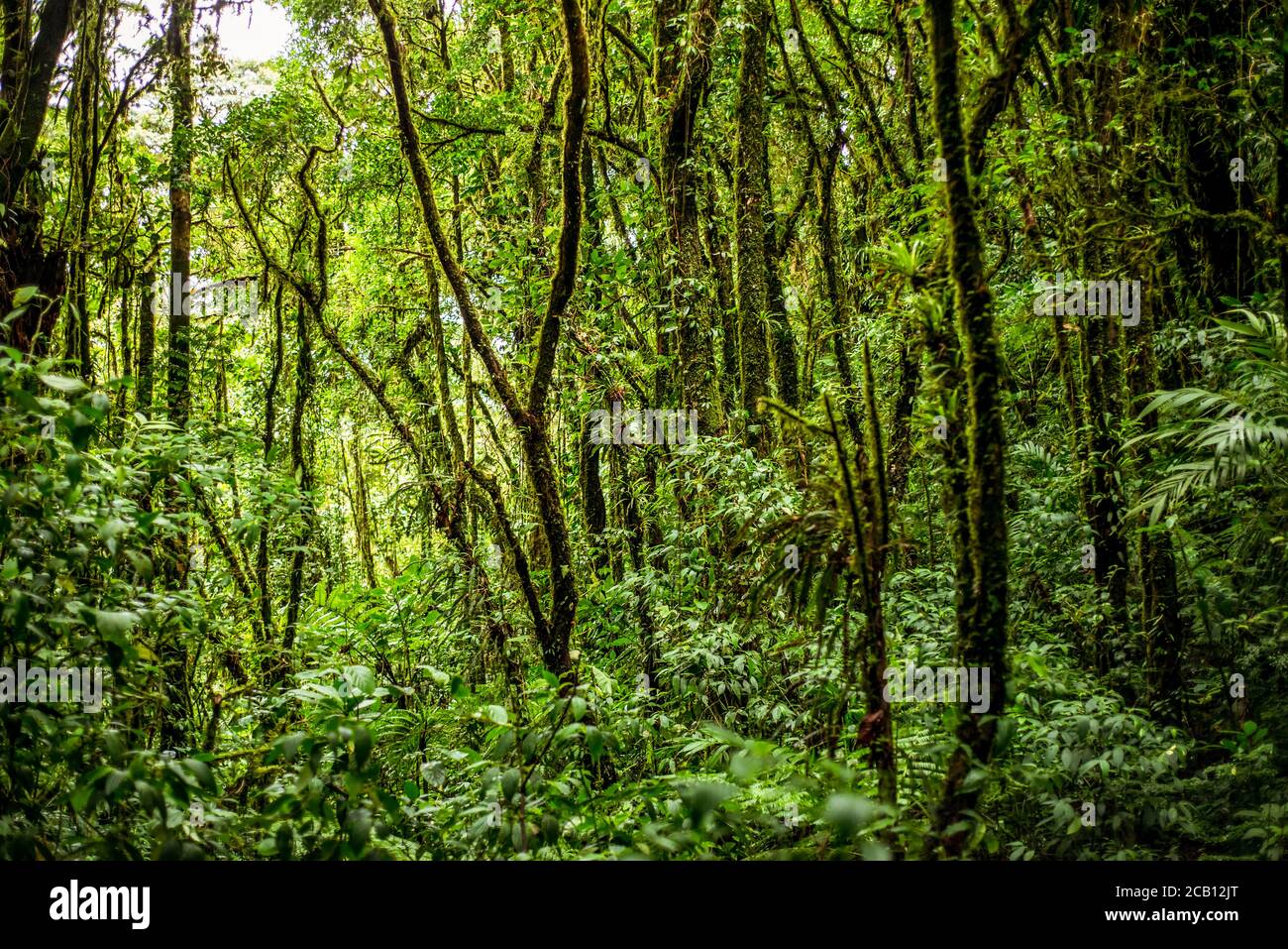 Costa rica famous volcano hi-res stock photography and images - Alamy