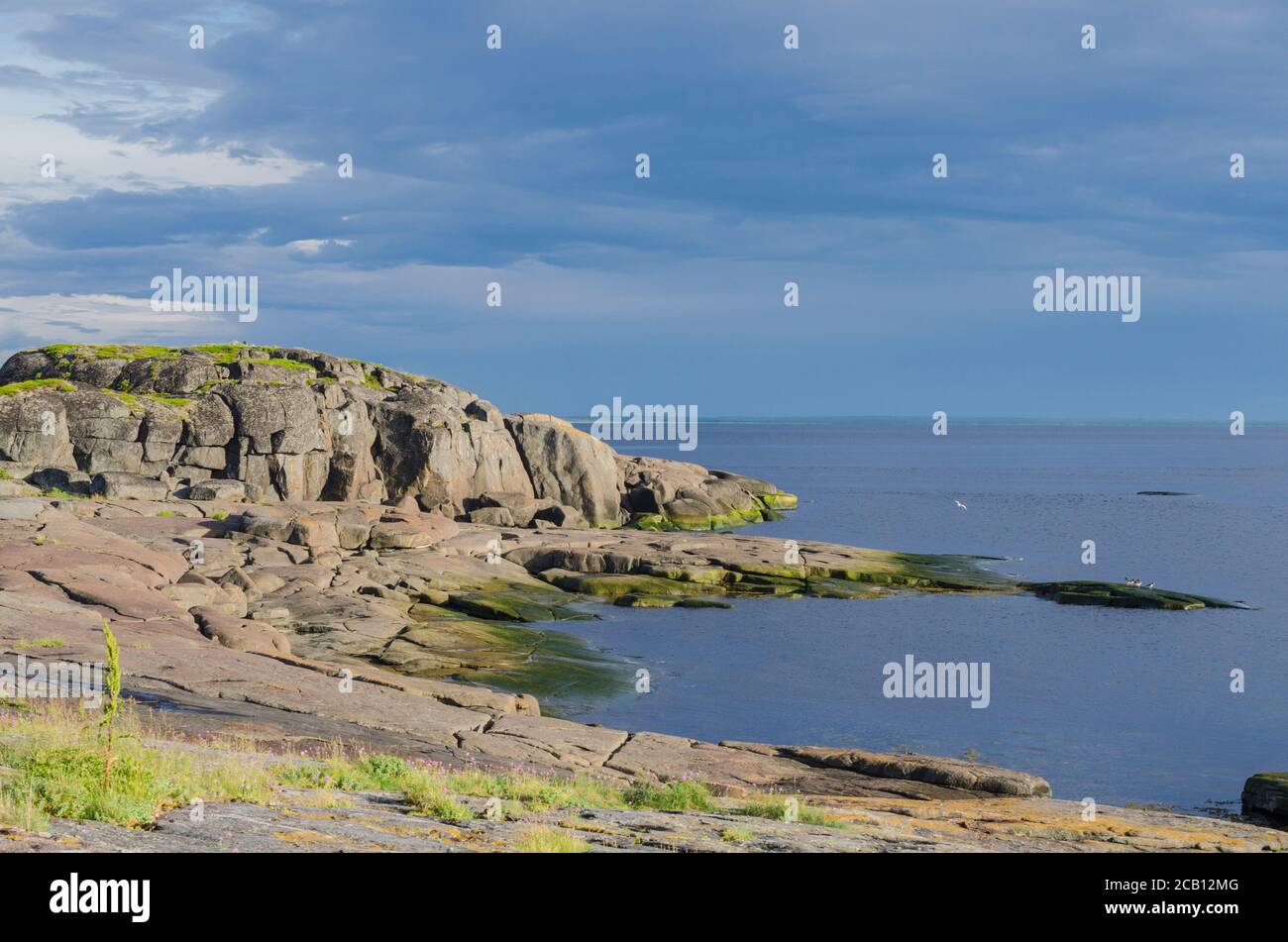 Stones and rocks. The harsh nature of the Arctic Stock Photo - Alamy