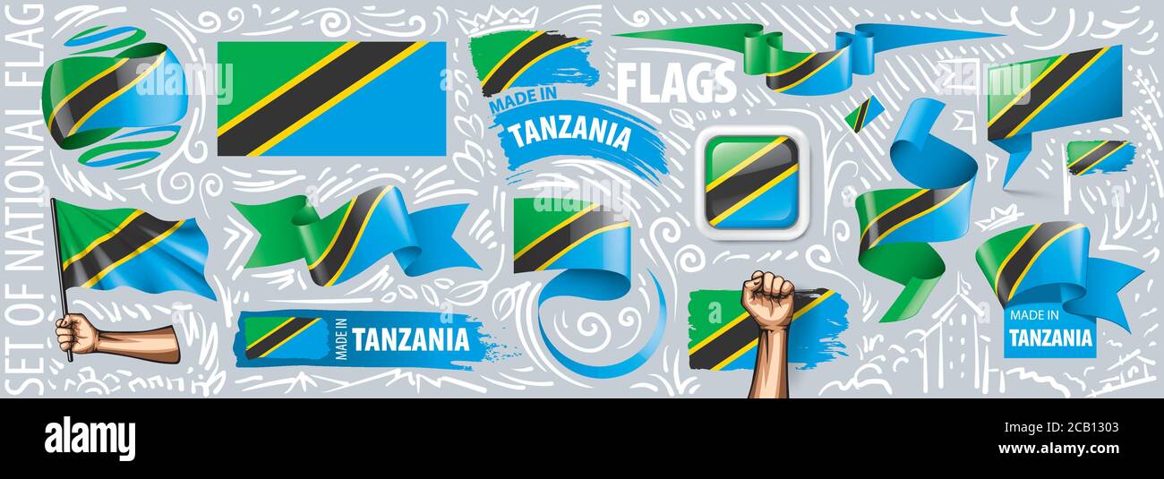 Vector set of the national flag of Tanzania in various creative designs ...