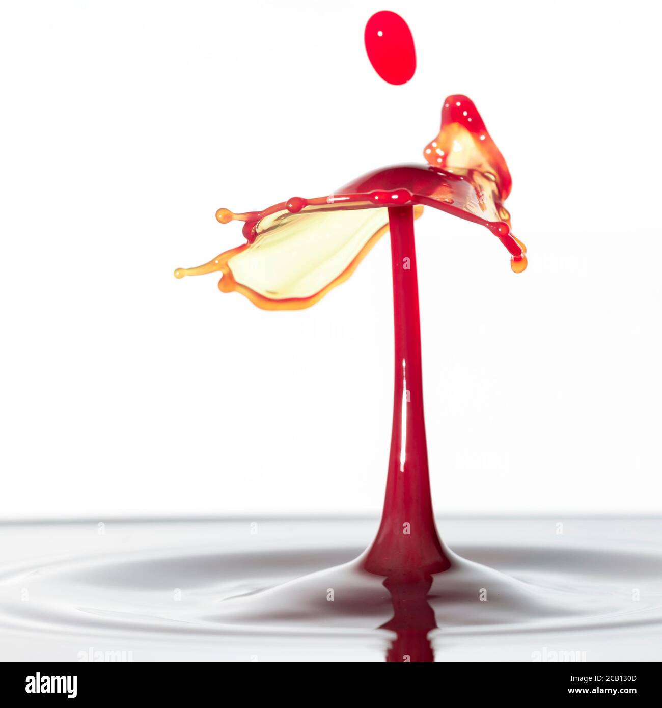 Stunning unique abstract water splash photography images with vibrant ...