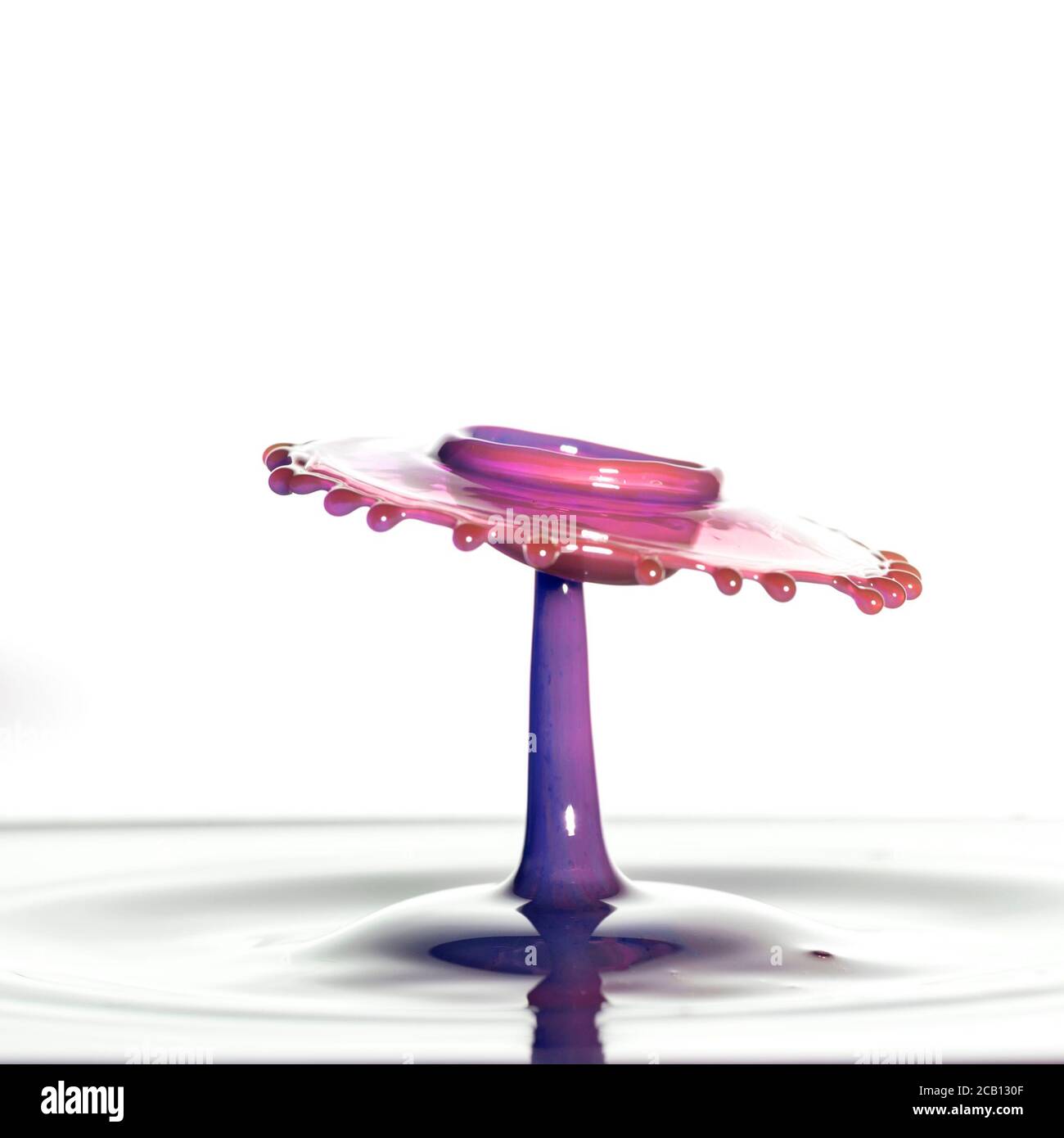 Stunning unique abstract water splash photography images with vibrant ...