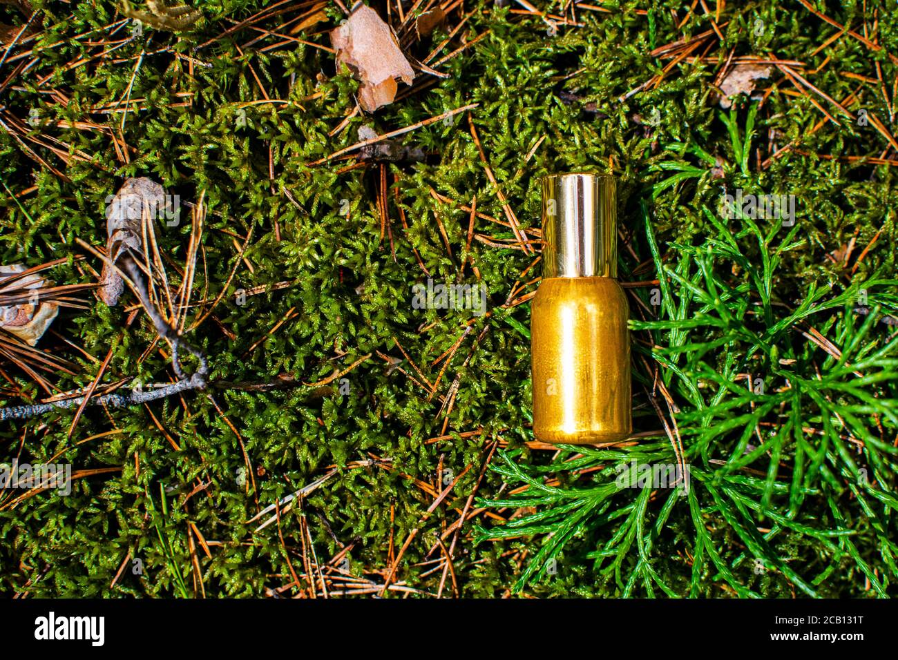 Perfume bottle on a natural background. Natural cosmetic Stock Photo ...