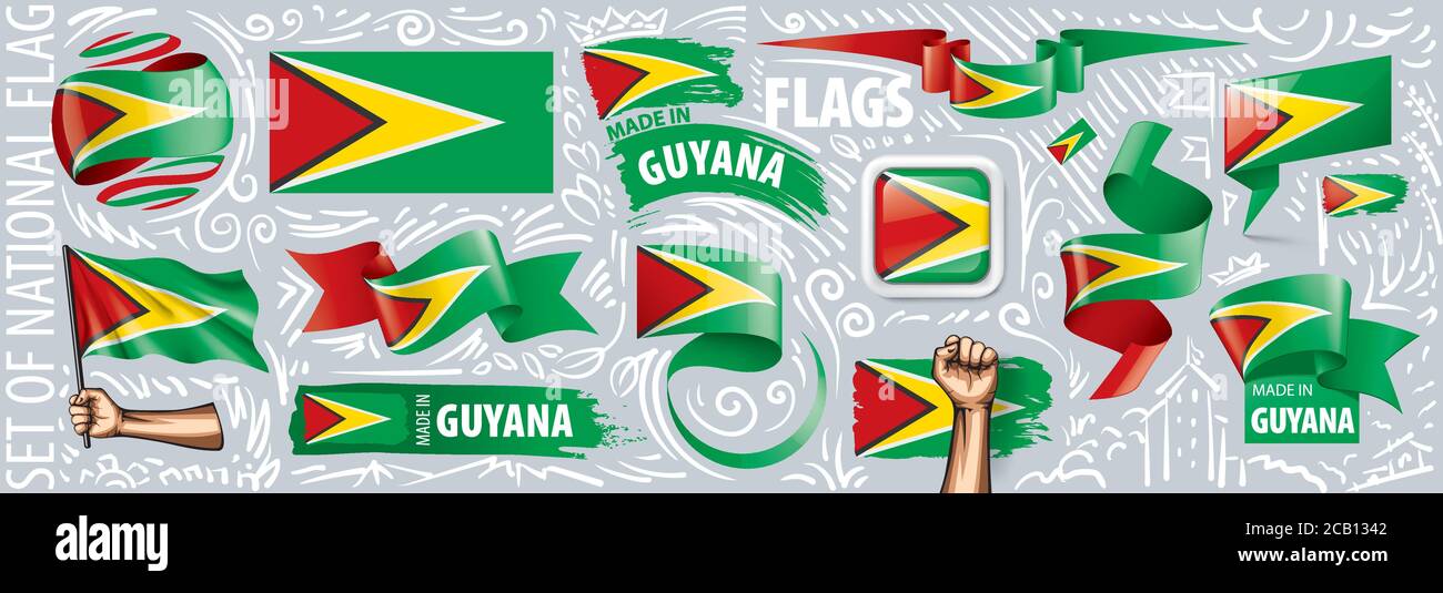 Vector set of the national flag of Guyana in various creative designs ...