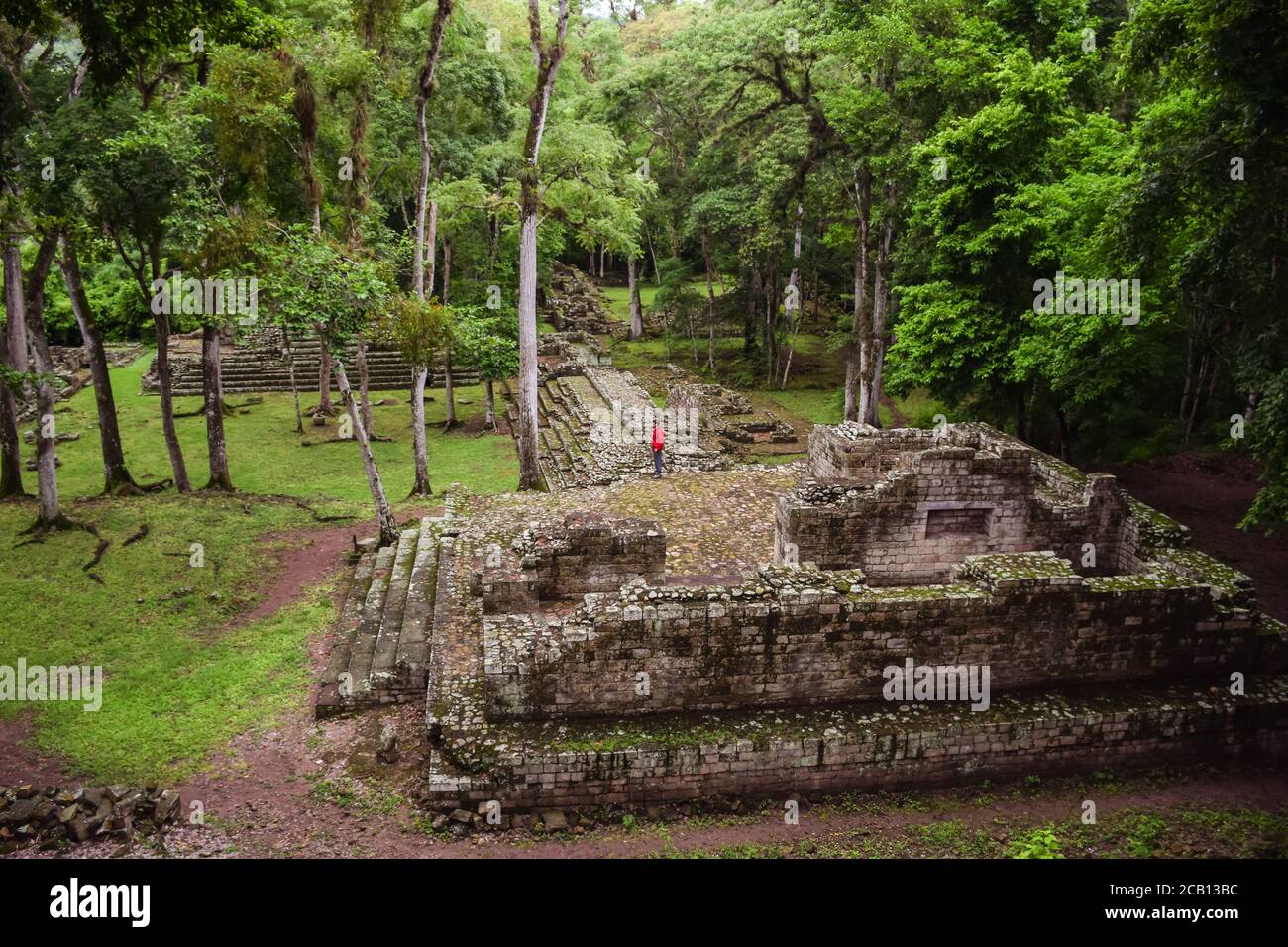 aerial landscape of turist with red jacket on top of Mayan ruins in ...
