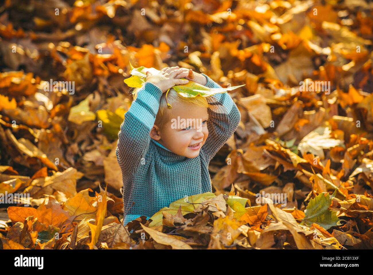 Happy child throwing the fallen leaves up, playing in the autumn park ...