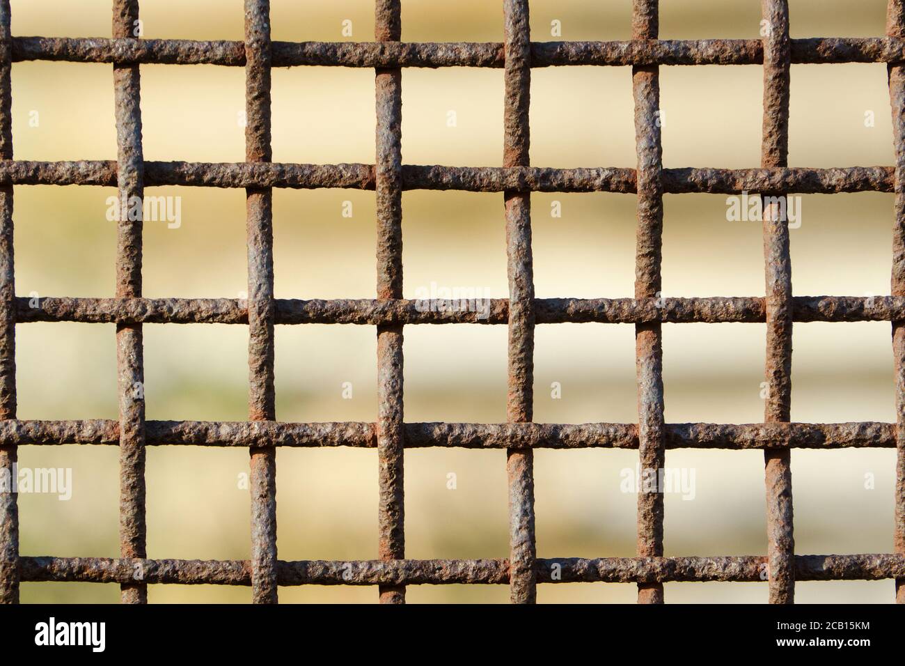 Rusty cage close up. Blurred Background Stock Photo - Alamy