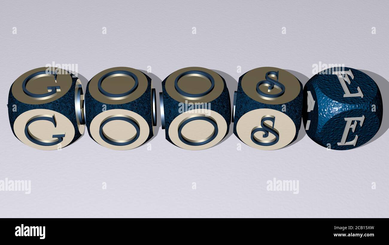 combination of GOOSE built by cubic letters from the top perspective ...