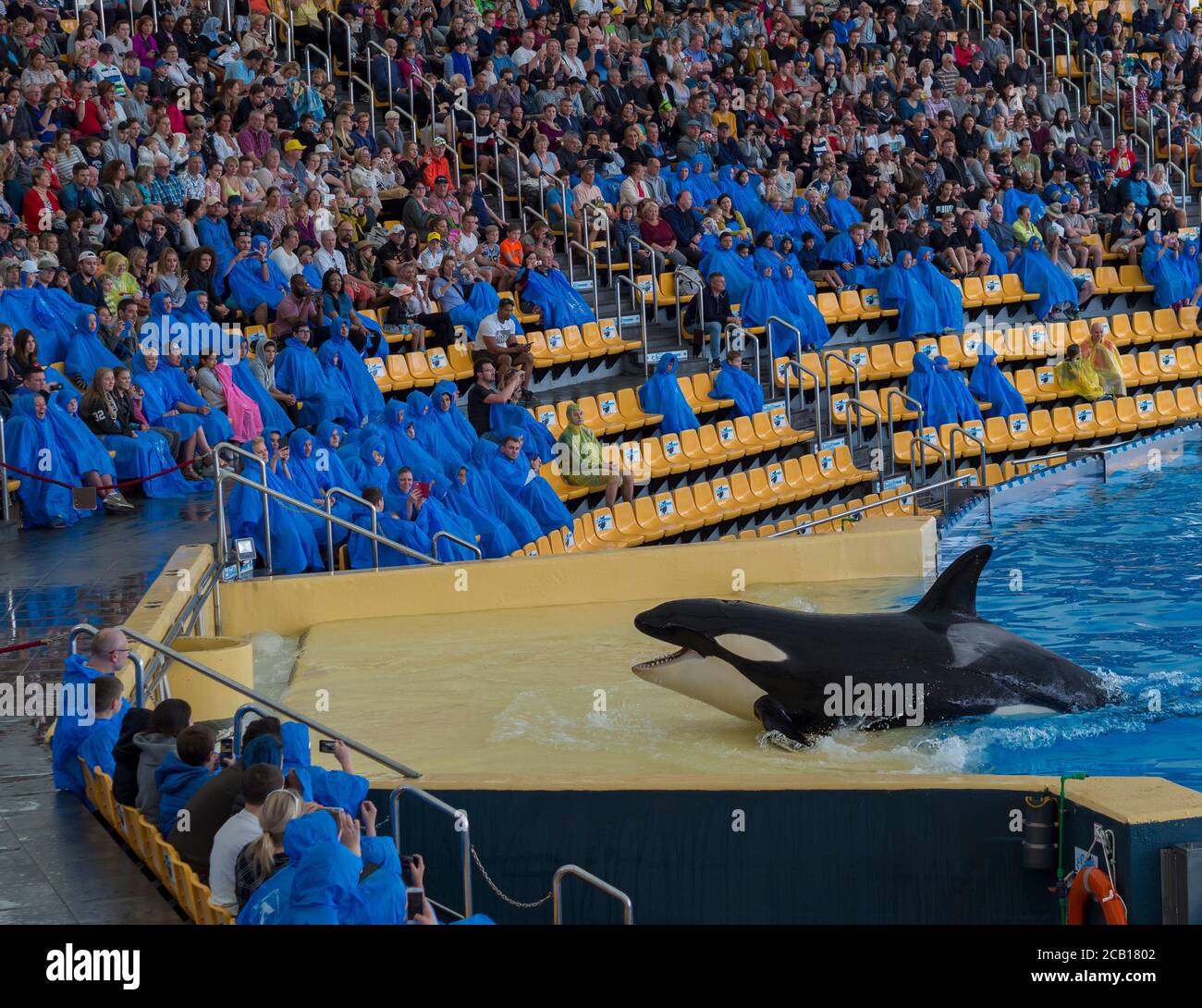Spain, Tenerife, Puerto de la Cruz, 2017, December 28: spectacular ...