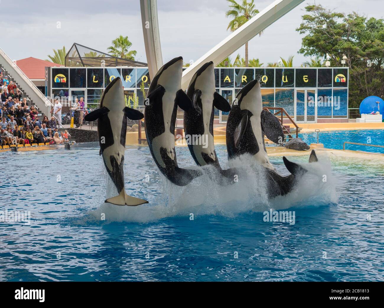 Spain, Tenerife, Puerto de la Cruz, 2017, December 28: spectacular ...