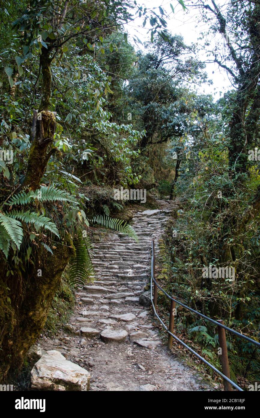 Hiking in Nepal, Annapurna Trek stair case and view Stock Photo - Alamy