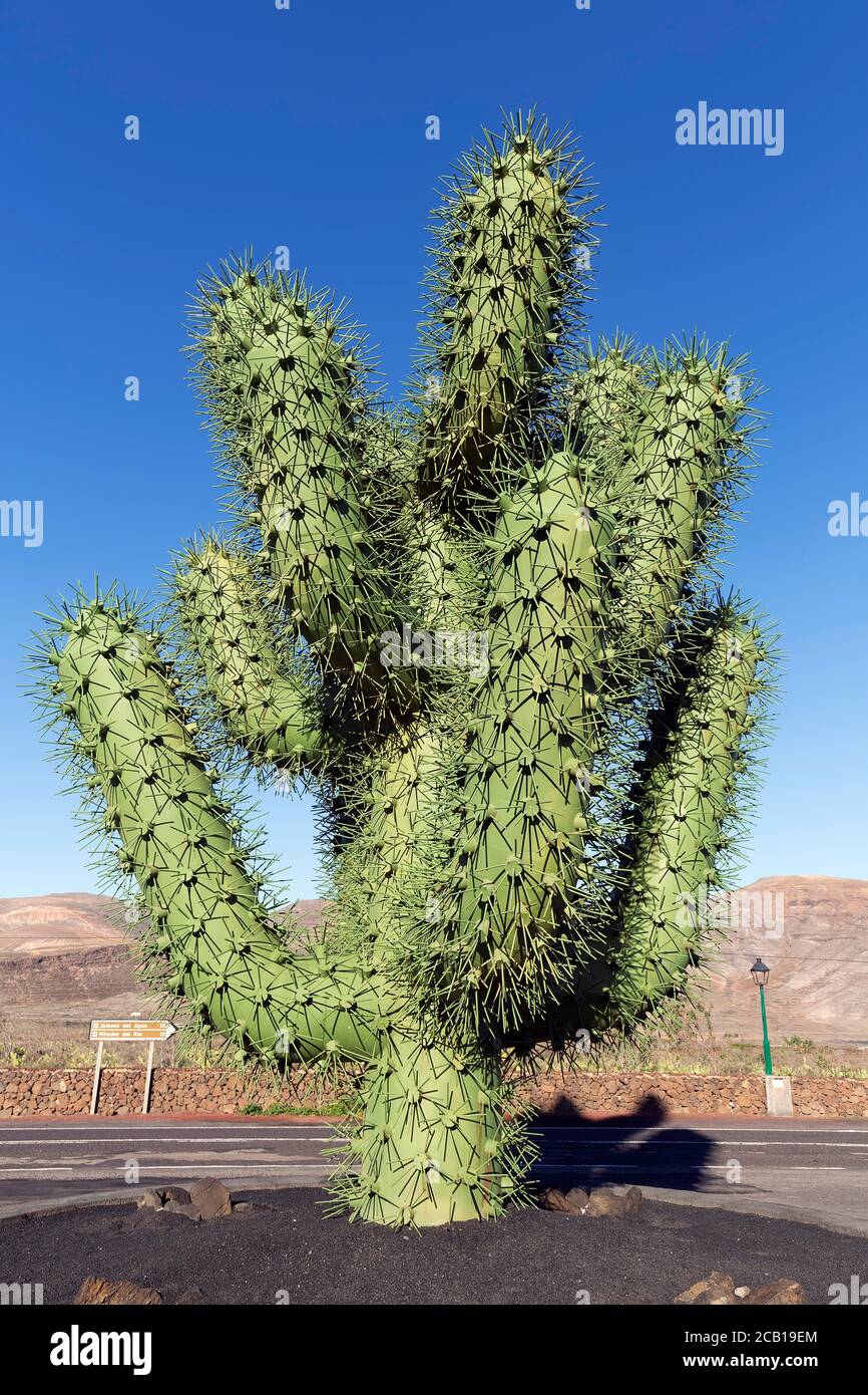 Giant artificial cactus hi-res stock photography and images - Alamy