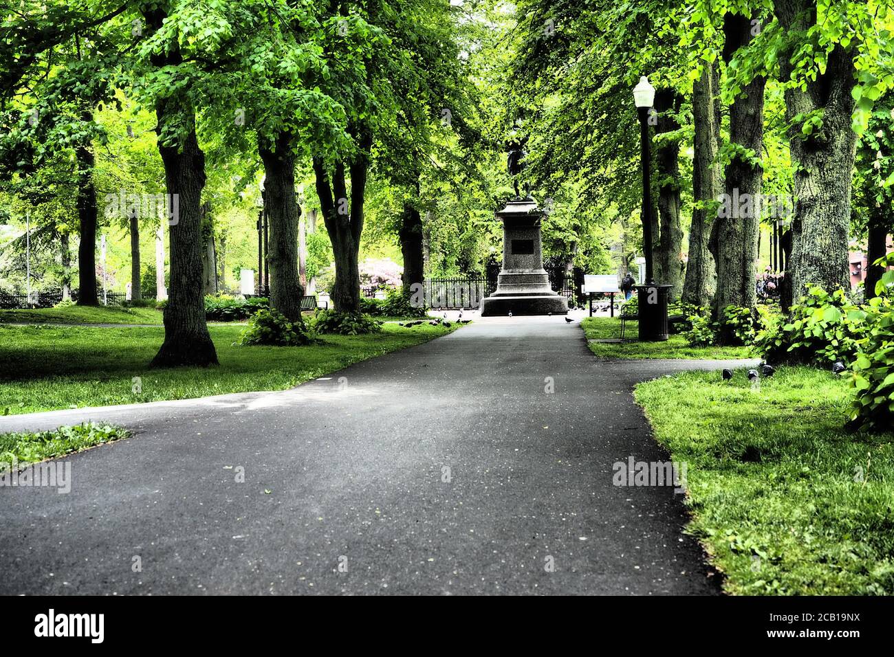 Path lined with trees leading to a monument at a park in Halifax ...