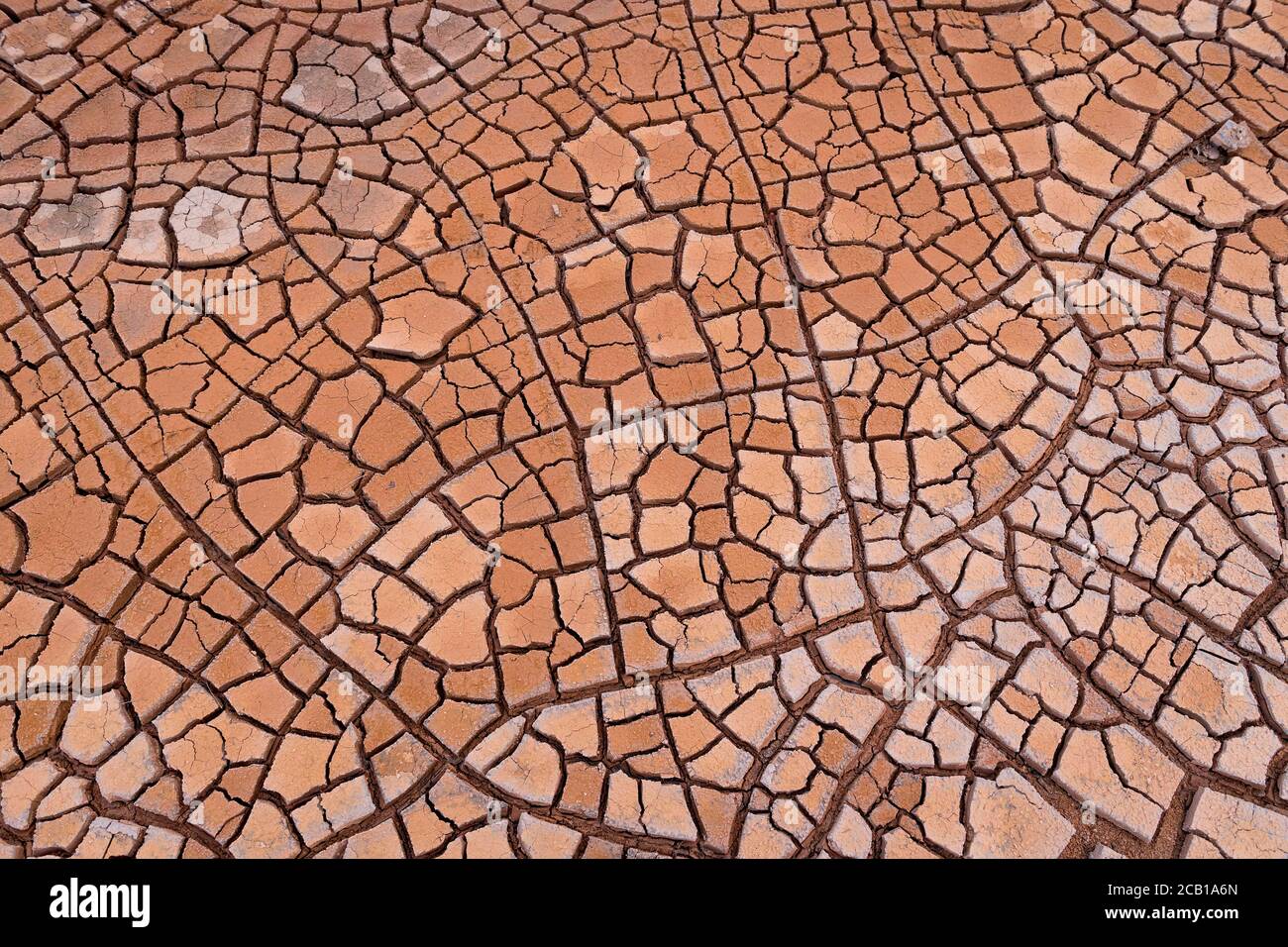 Cracks in clay soil form mosaic-like structure, geothermal field ...