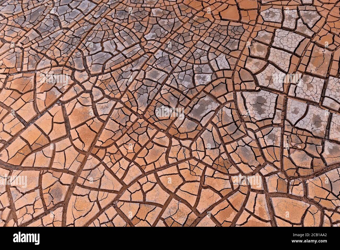 Cracks in clay soil form mosaic-like structure, geothermal field ...