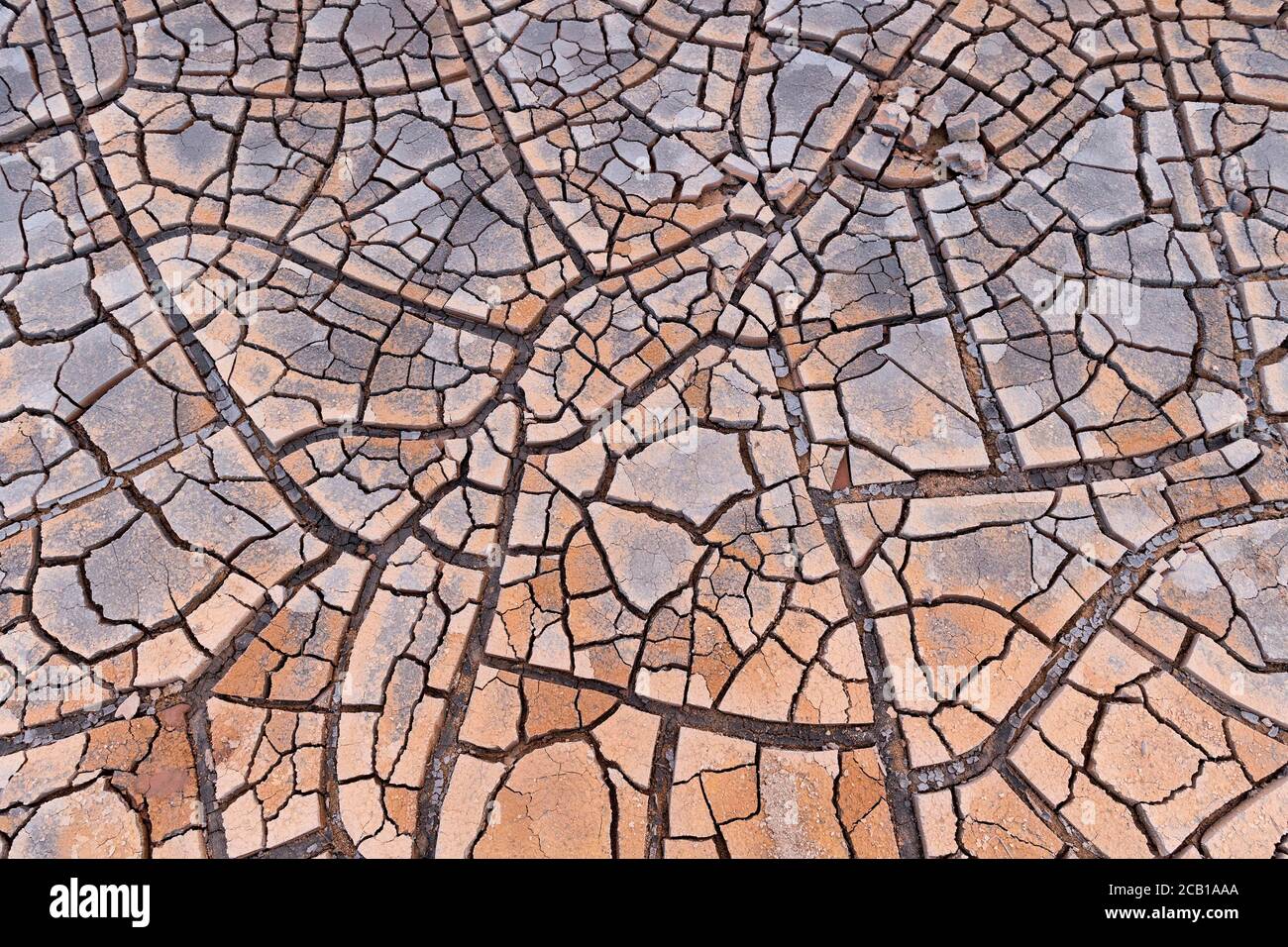 Cracks in clay soil form mosaic-like structure, geothermal field ...