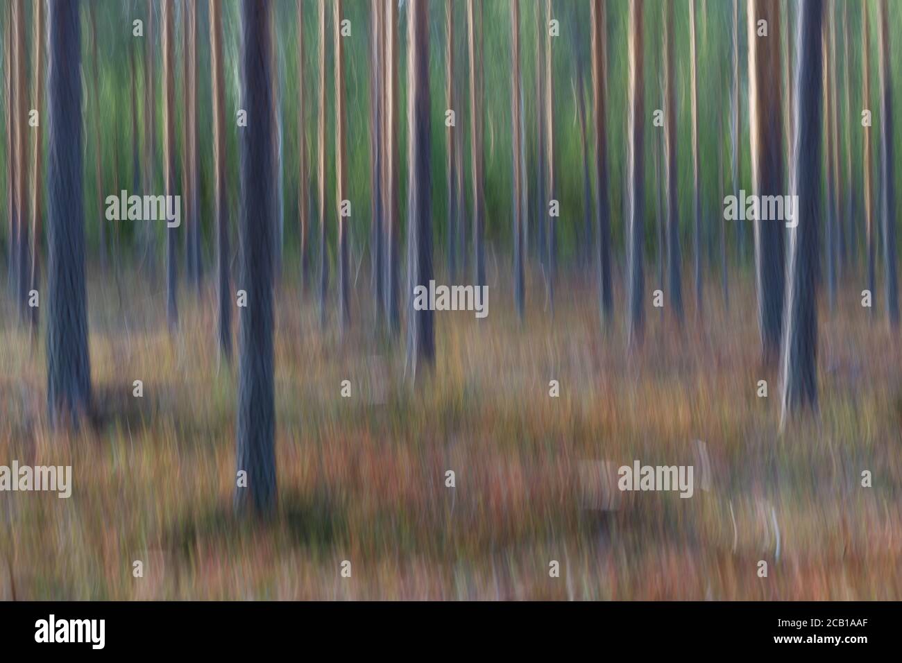 Wipe pattern hi-res stock photography and images - Alamy