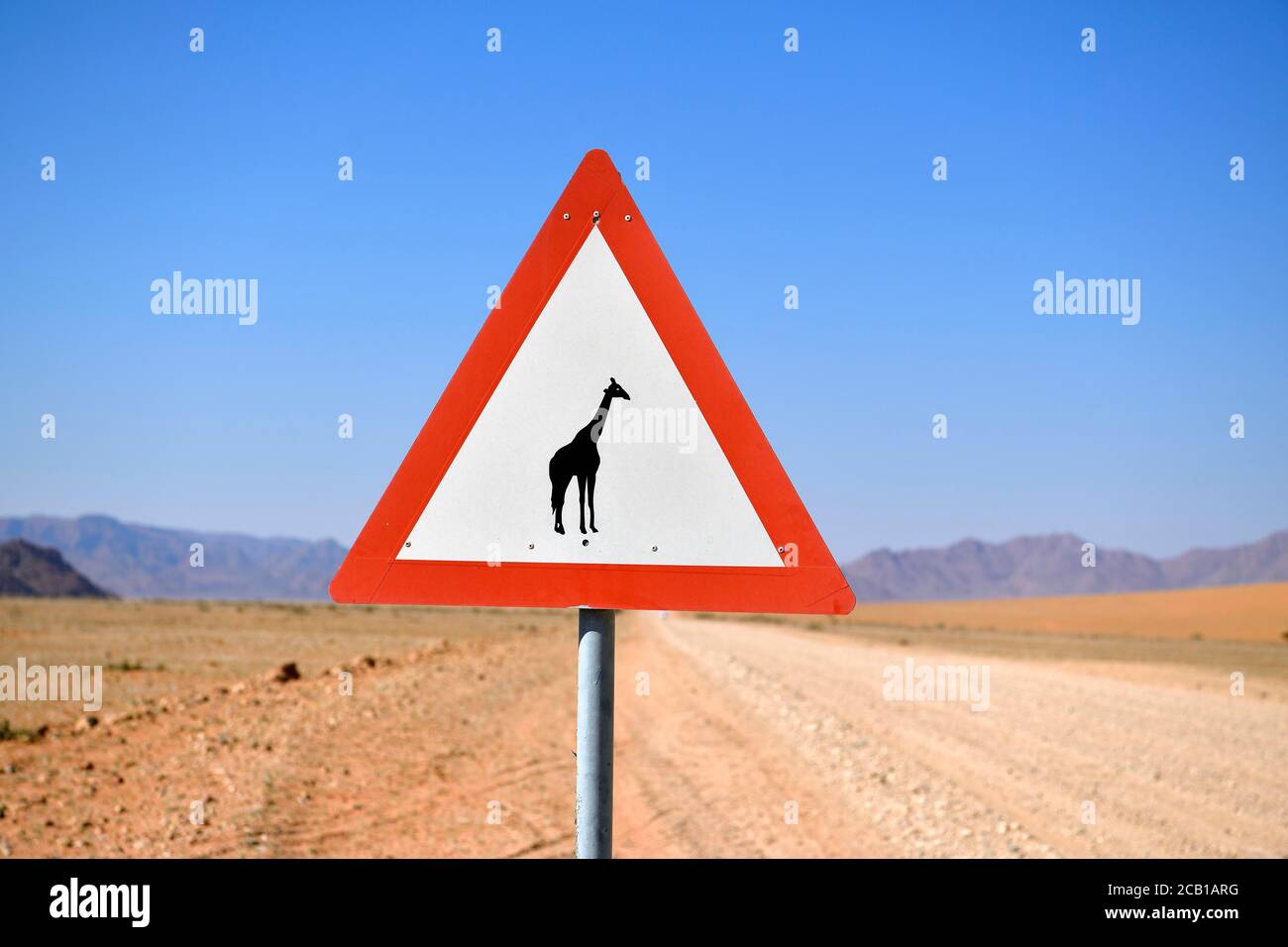 Road sign warns of crossing giraffes, Namibia Stock Photo - Alamy