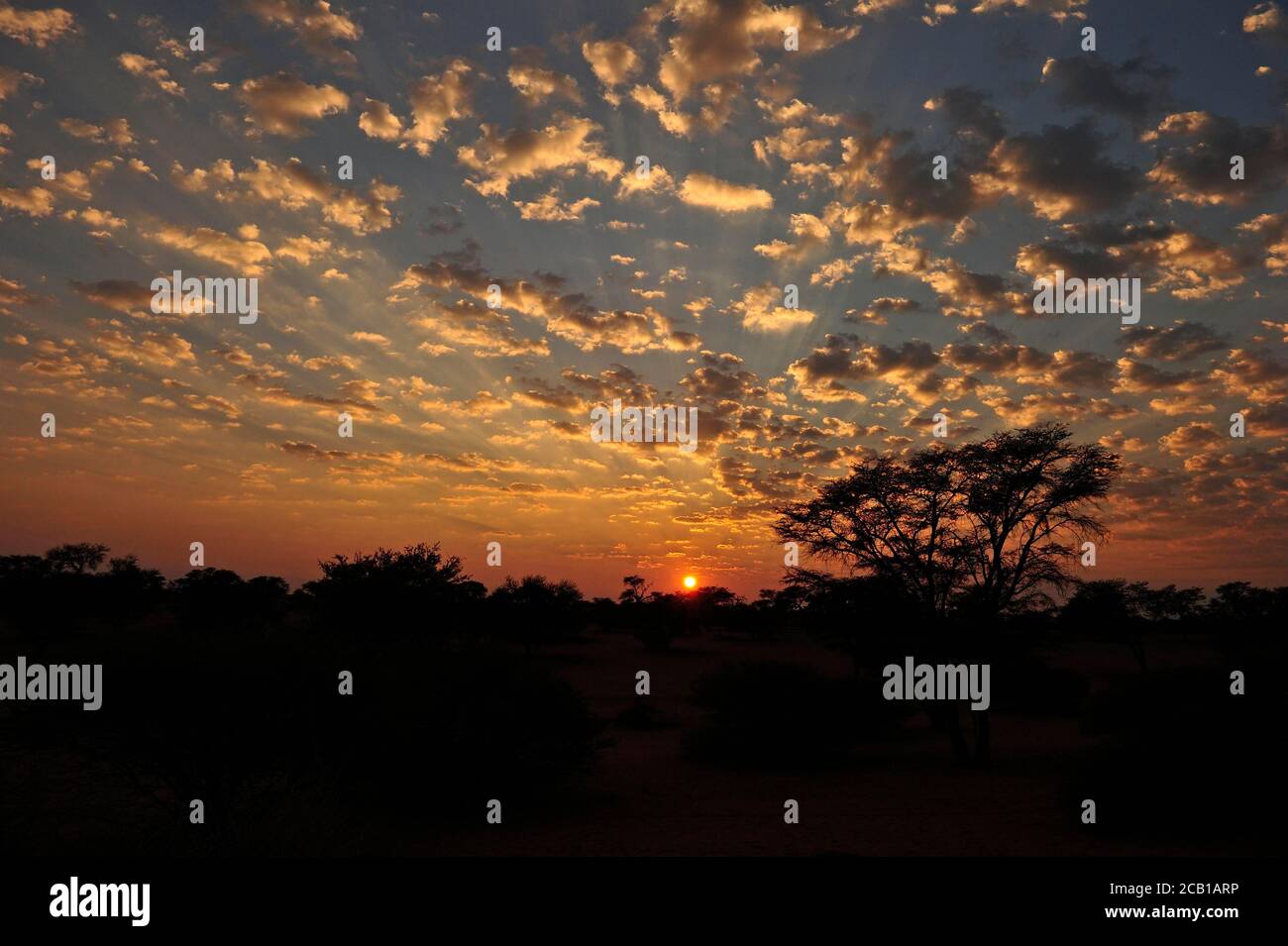 Kalahari sunset hi-res stock photography and images - Alamy