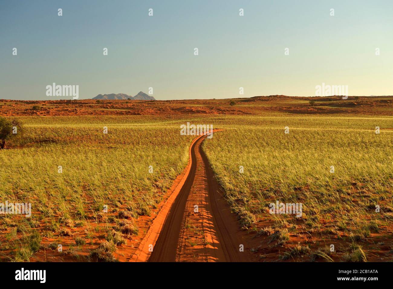 Road, lanes through the red sand of the Namib Desert, Namibia Stock ...