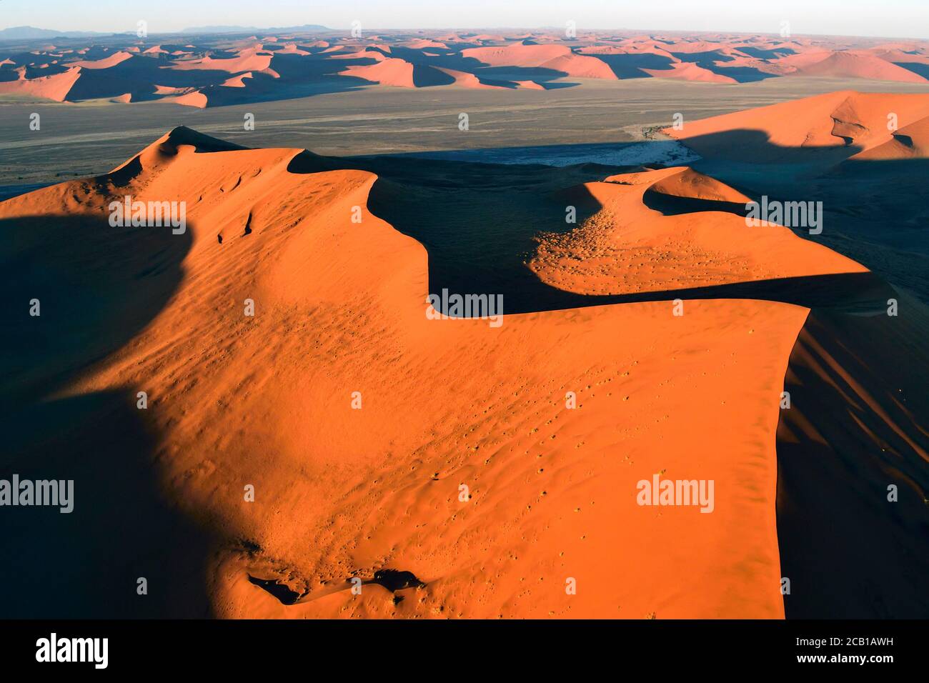 Aerial view, star dune, Sossusvlei, Namib-Naukluft National Park ...
