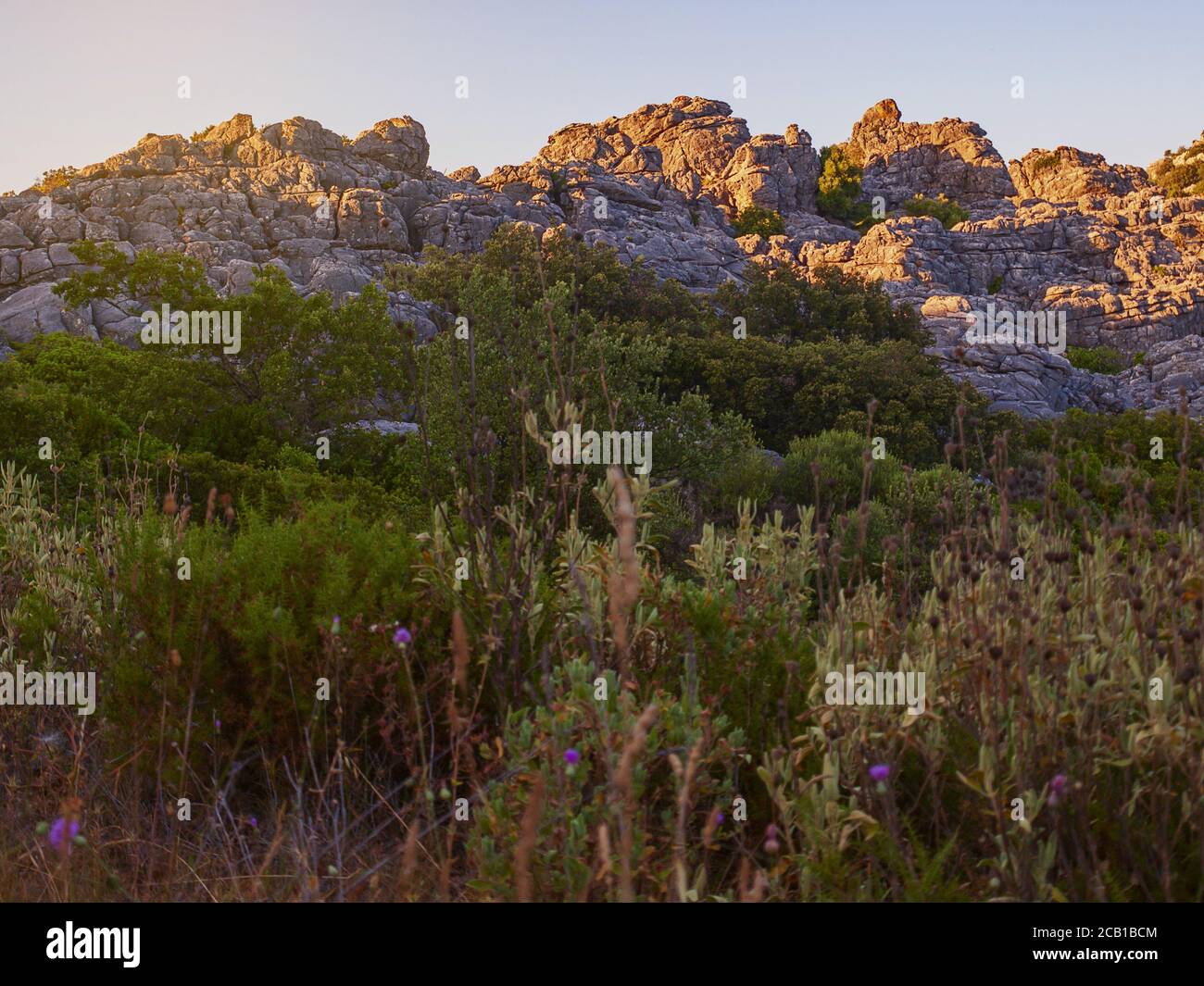 Beautiful shot of rocky hill tops with greenery on the foreground on a ...