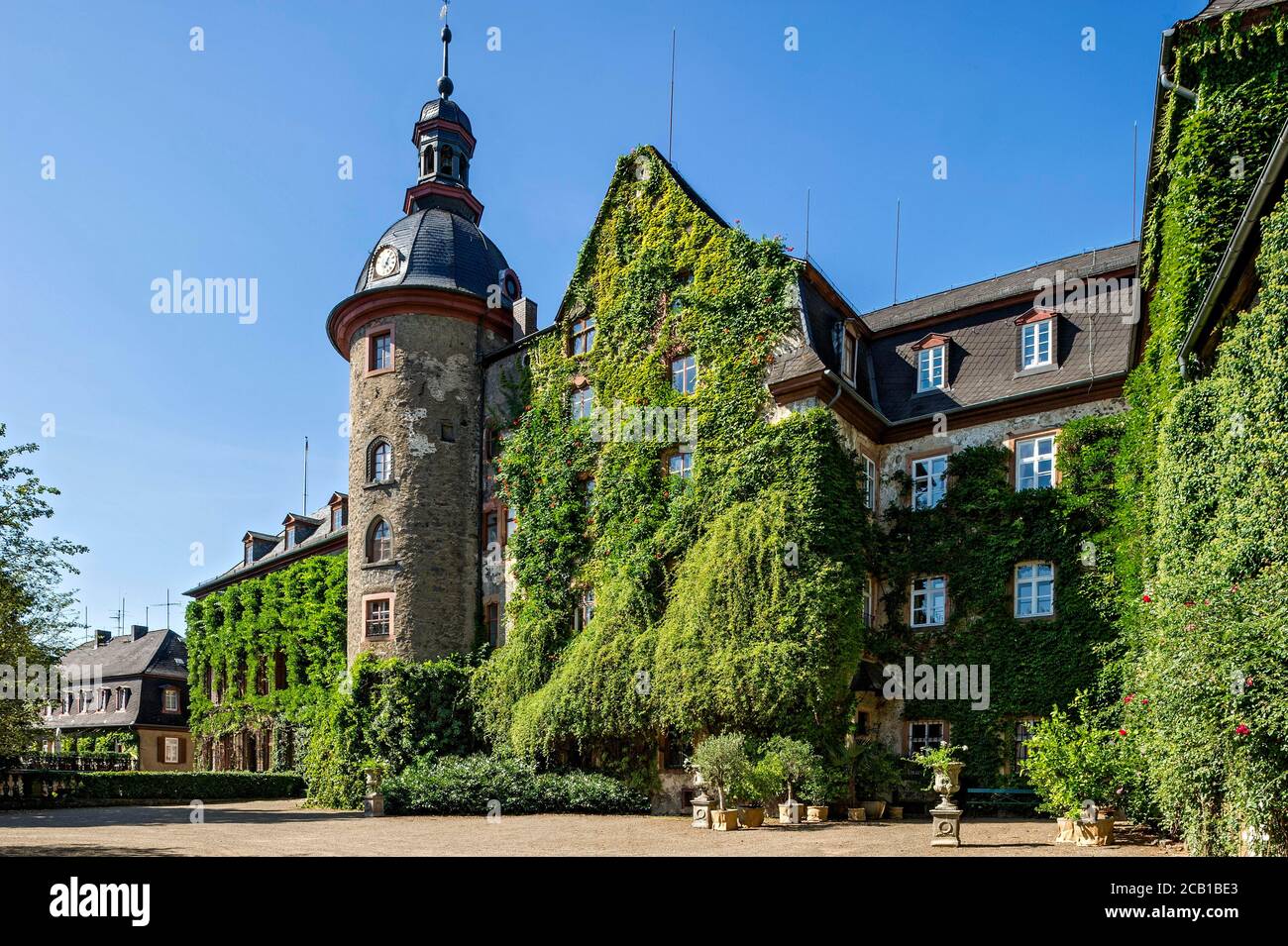 Overgrown Medieval Castle High Resolution Stock Photography and Images ...